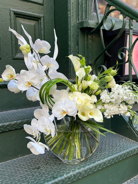 The White Collection – Julia Testa