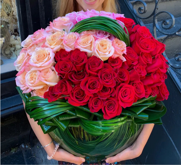 Classic Roses NYC – Julia Testa