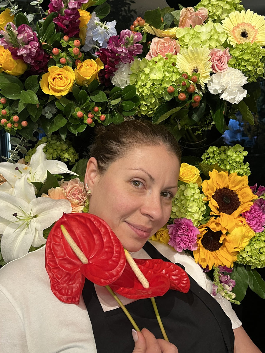 Contact Us - Julia Testa