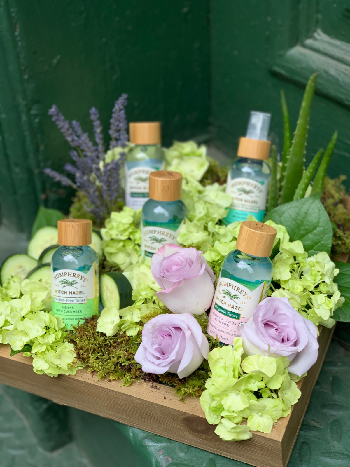 PR Mailer Gallery – Julia Testa