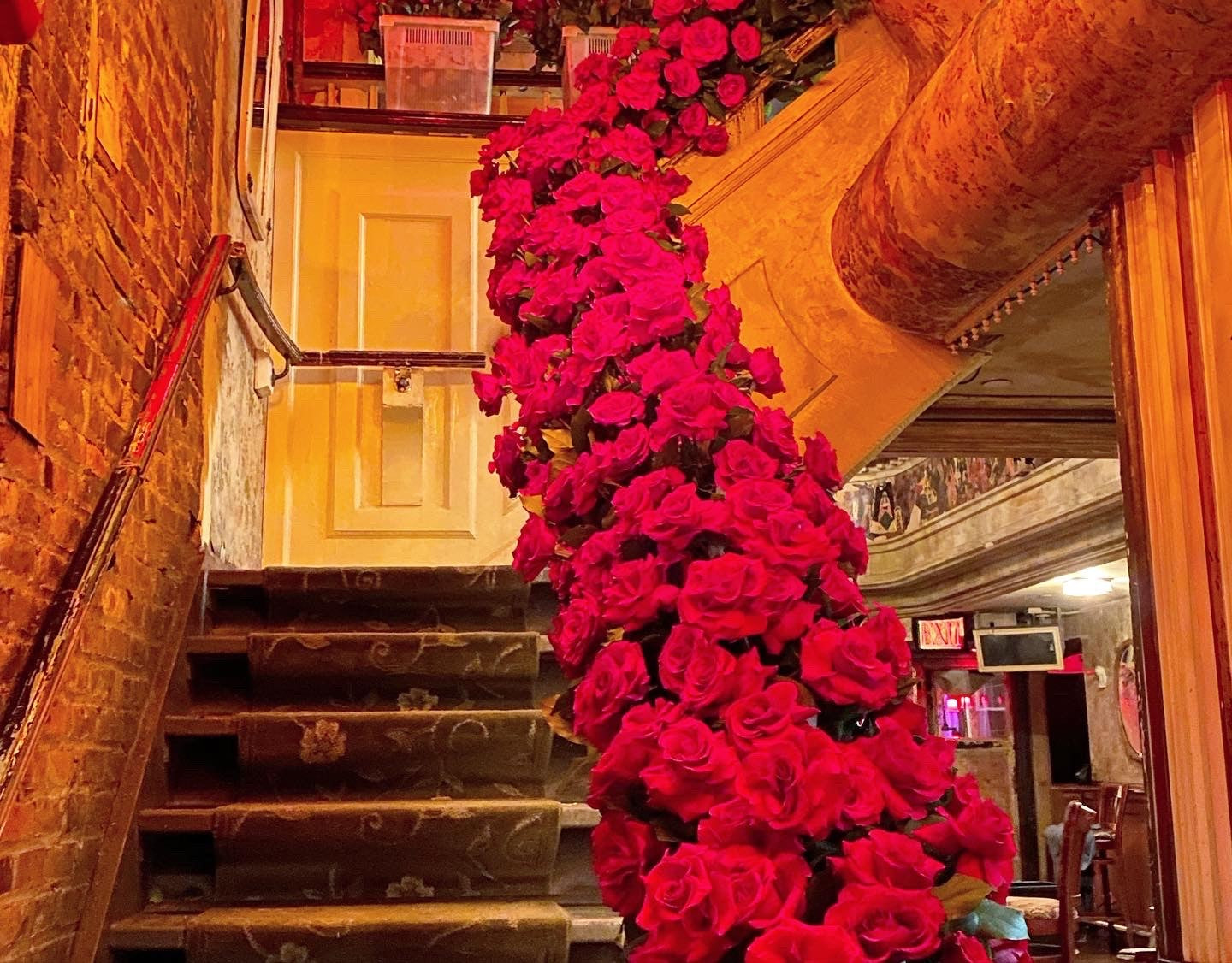 Floral Installations Gallery – Julia Testa