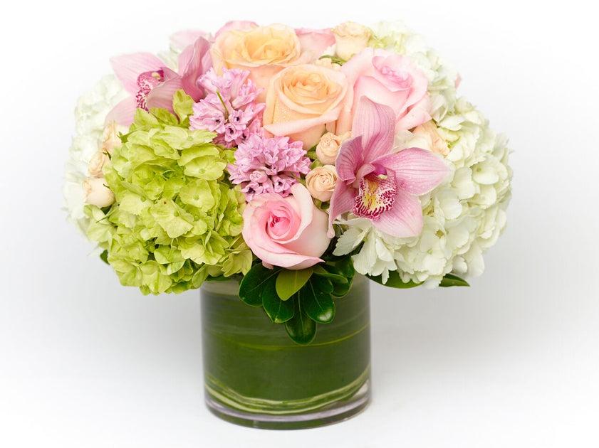 Pastel Collection – Julia Testa