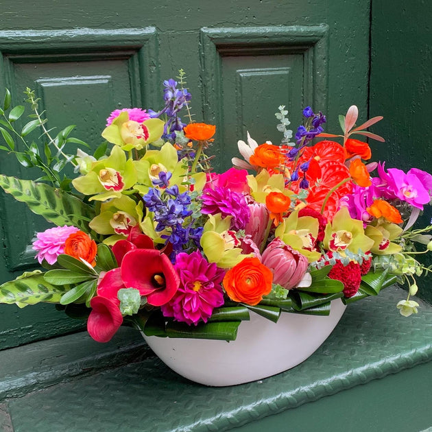 Colorful Collection – Julia Testa